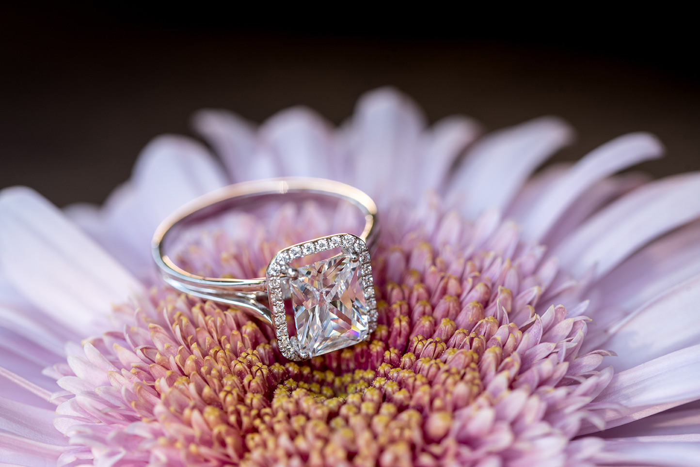 A Guide To Halo Rings A Guide To Halo Rings